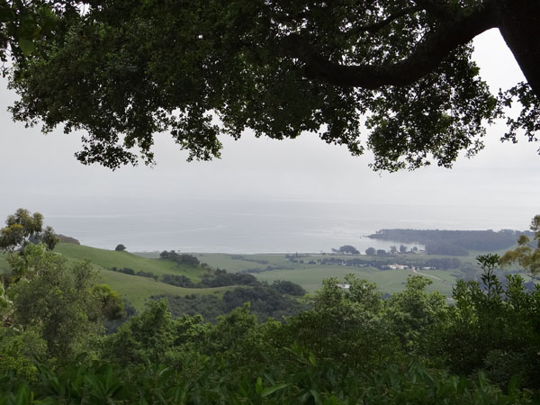 Reflections From the Fence: THE Trip, THE Encore' :: Hearst Castle, The ...