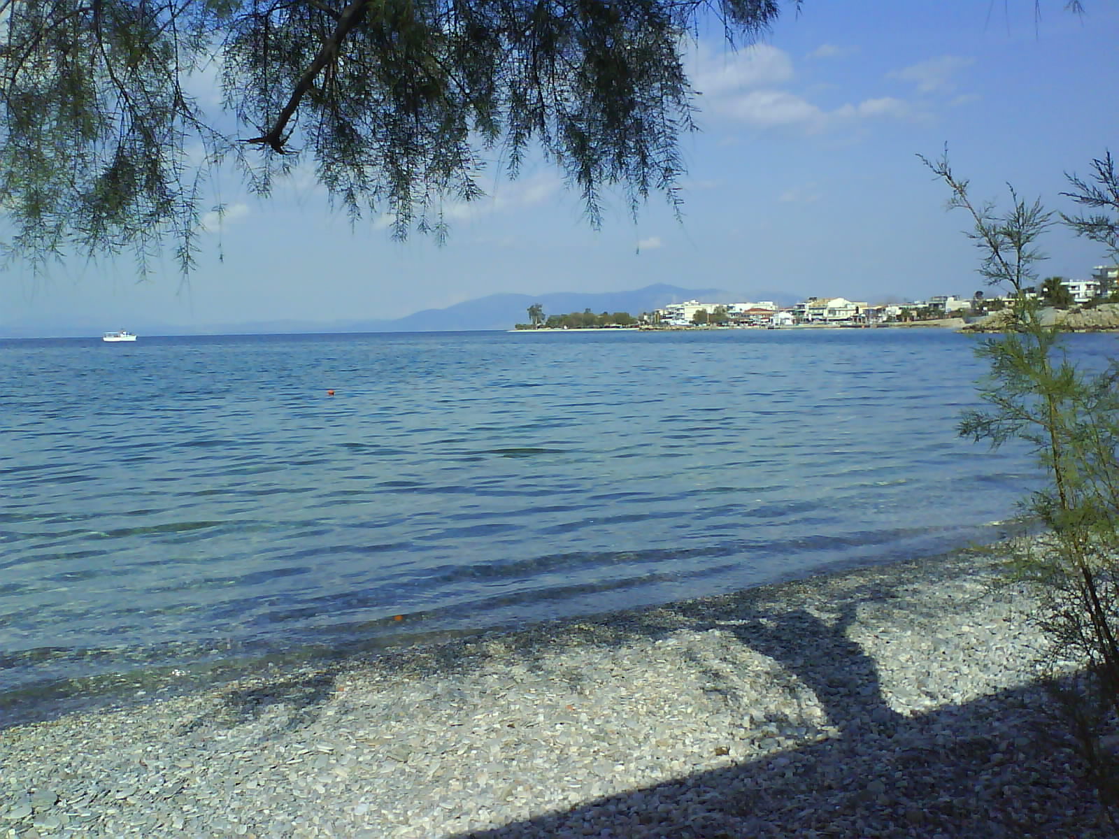 Η ΙΣΤΟΣΕΛΙΔΑ ΤΩΝ ΑΓΙΩΝ ΑΠΟΣΤΟΛΩΝ: ΑΓΙΟΙ ΑΠΟΣΤΟΛΟΙ ΚΑΛΑΜΟΥ