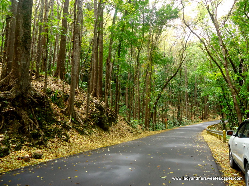 Bohol Countryside Tour | Lady & her Sweet Escapes