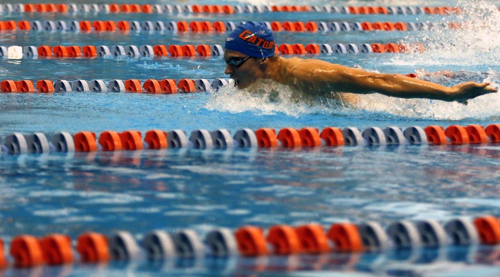 MILO Sports: Florida Gators swimming cap