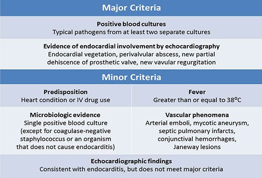 INFECTIVE ENDOCARDITIS : CAUSES; SIGNS AND MANAGEMENT - Findyourself343 ...