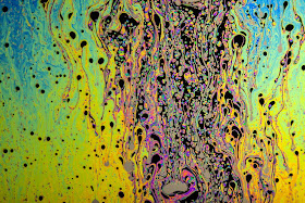 Microscope World Blog: Art under the Microscope