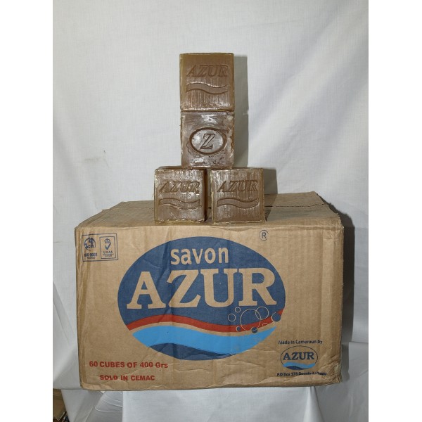 asheville·ink·slinger