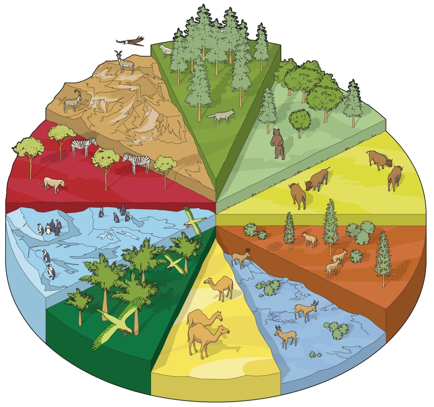 Distribution Of Living Things Biomes ~ Ilmu alam dan teknologi