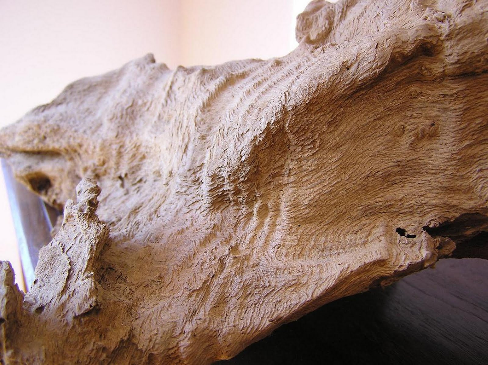 Neesie Natters: April 2011