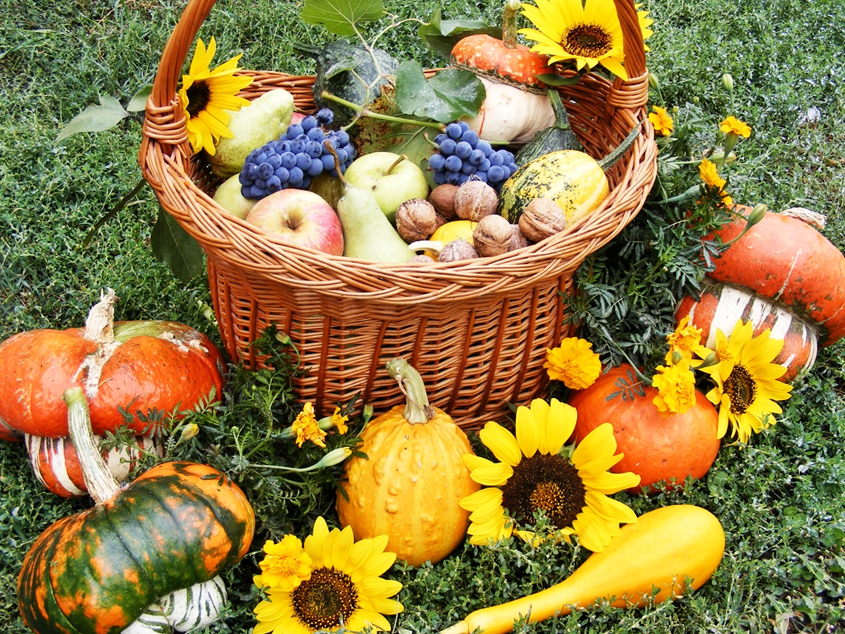 Ce a mai gatit Timea...: Toamna