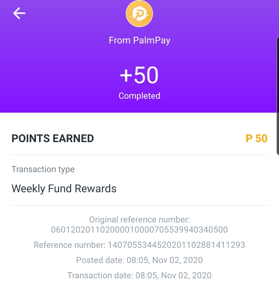 Palmpay ( The payment app that rewards you): guide,reviews and ...