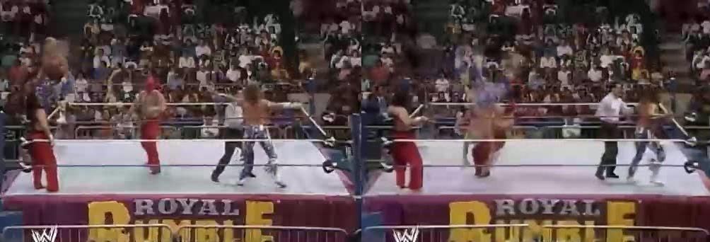 Wrestlemania para siempre: Royal Rumble (1991)