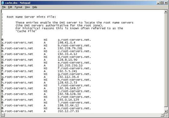 Spice Up Your Knowledge!!!: DNS [Domain Naming System]