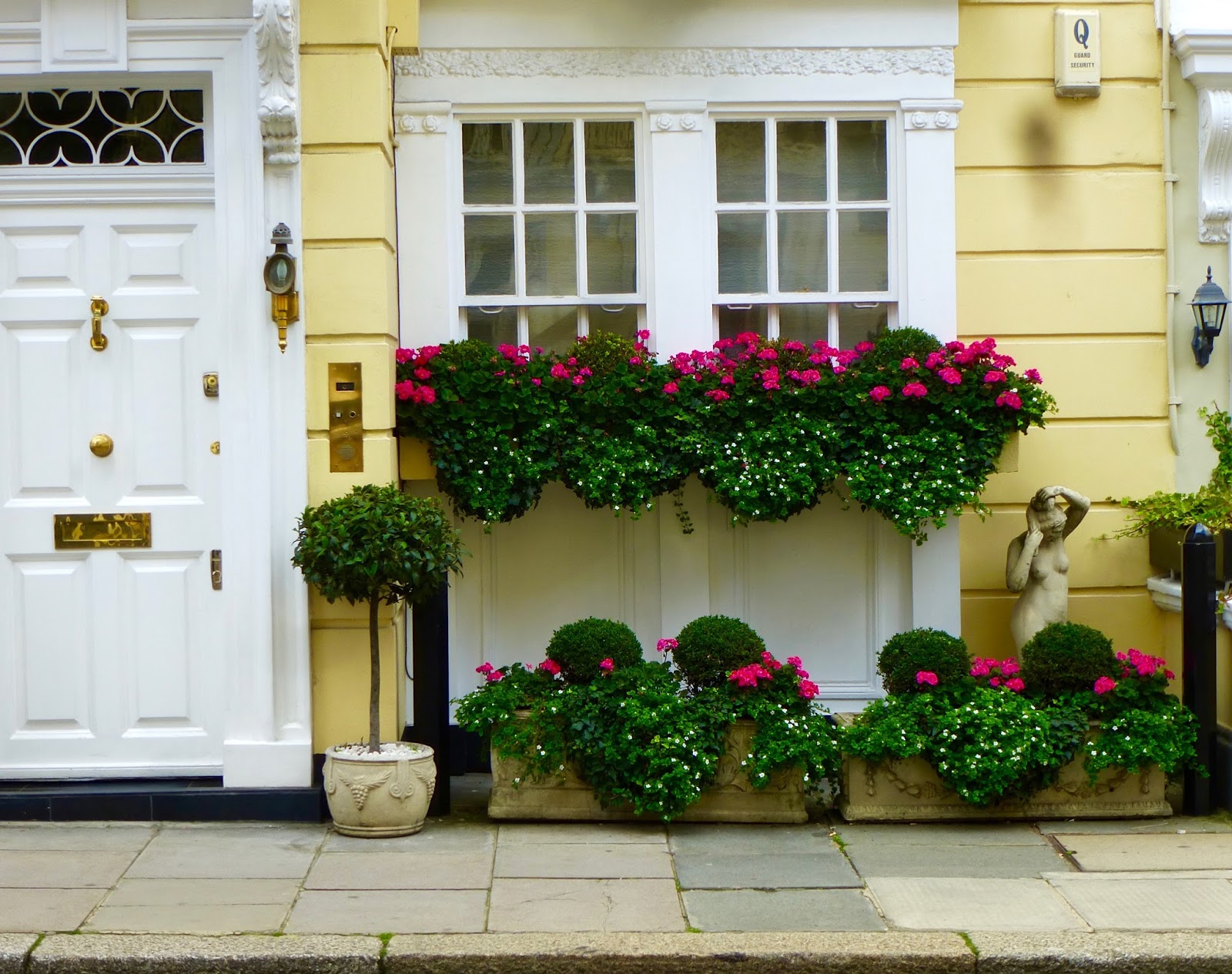 Window boxes of London | The Dirt Diaries