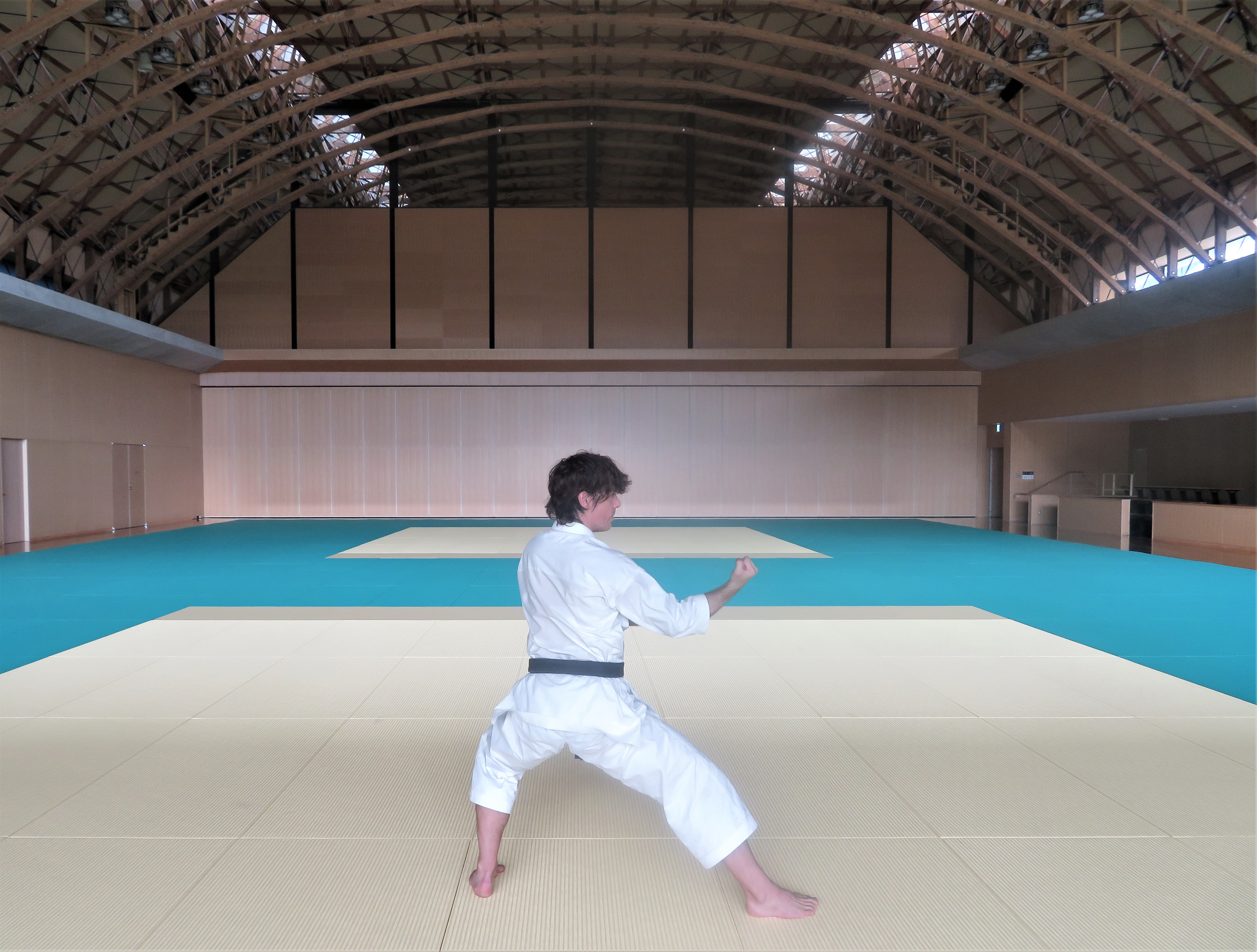 André Bertel's Karate-Do: 順路 (PART 2): Deeper Aspects of the Junro kata