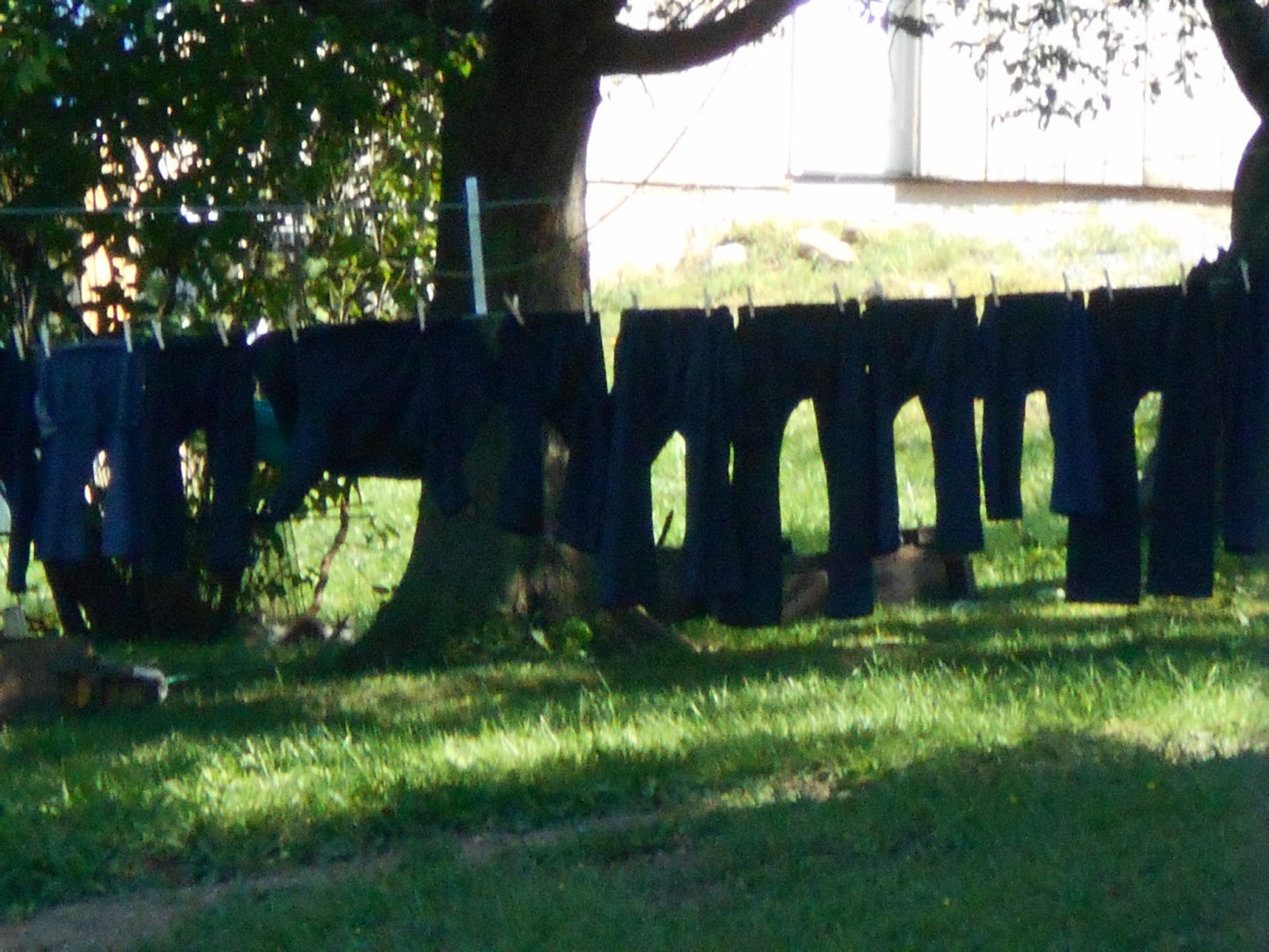 New York State of Mind: CLOTHES DRYING IN THE WIND