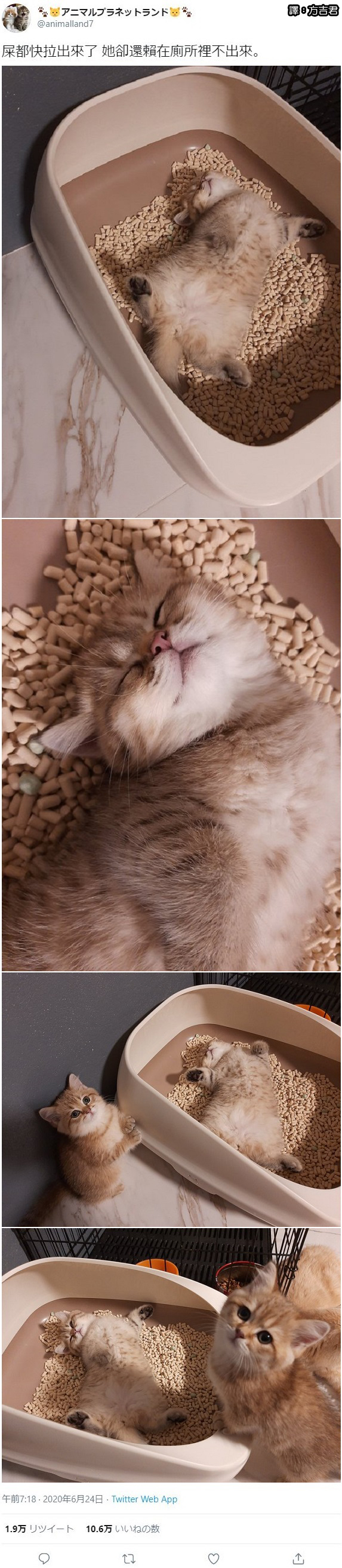 [方吉君翻推特] 推特上在夯什麼 Part.300