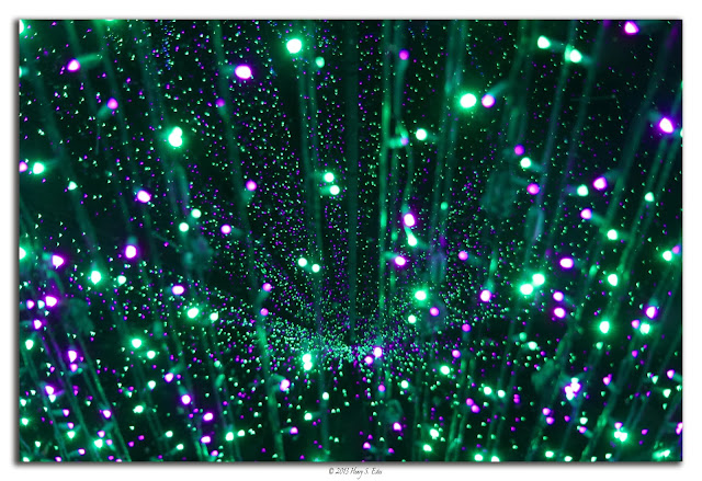 Henry S. Estes Photography: Infinity Lights