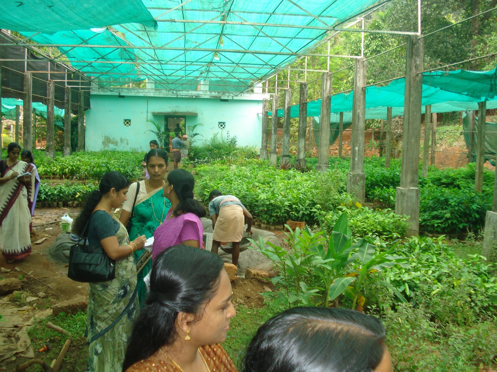 k4kannur: Karimbam Farm , Kannur