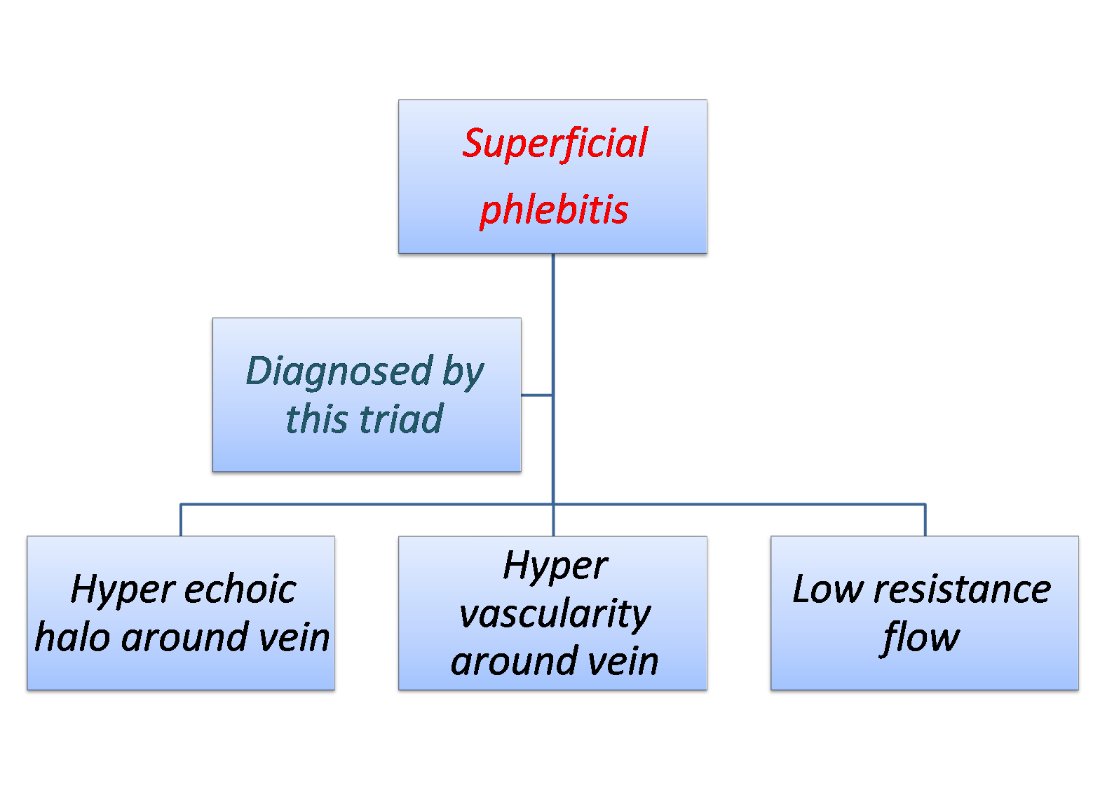 Ultrasound Section