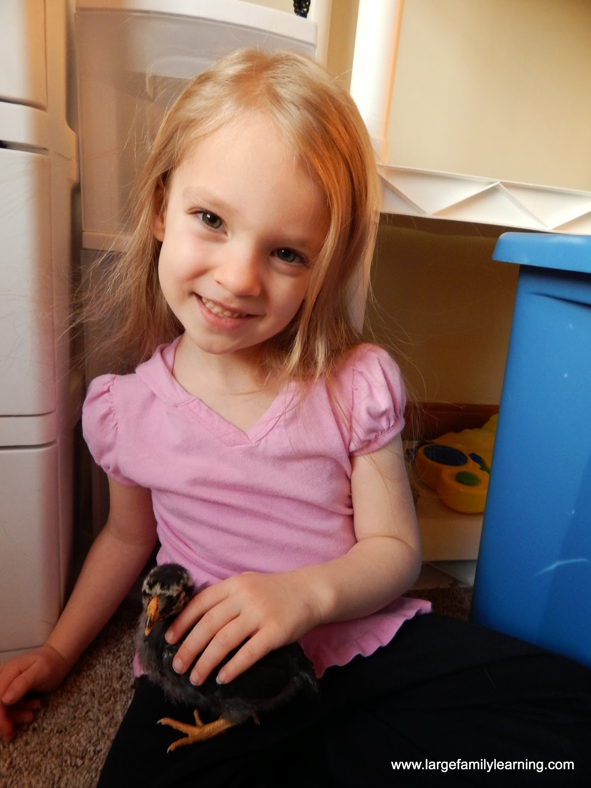 Large Family Learning : March 2014