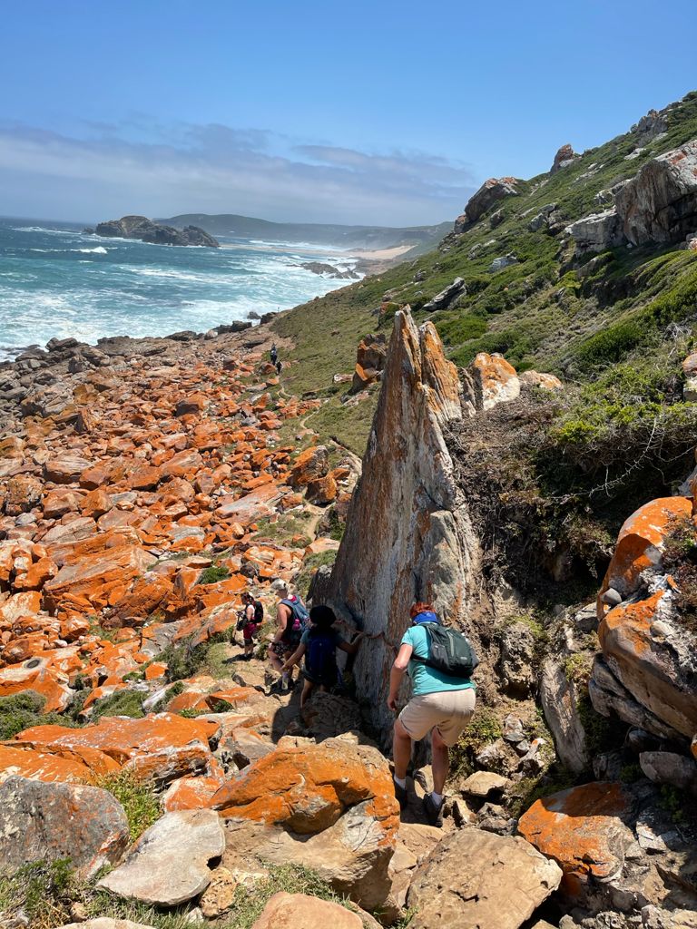 PETER GIDDY.: Robberg Hiking trail -- January 2021