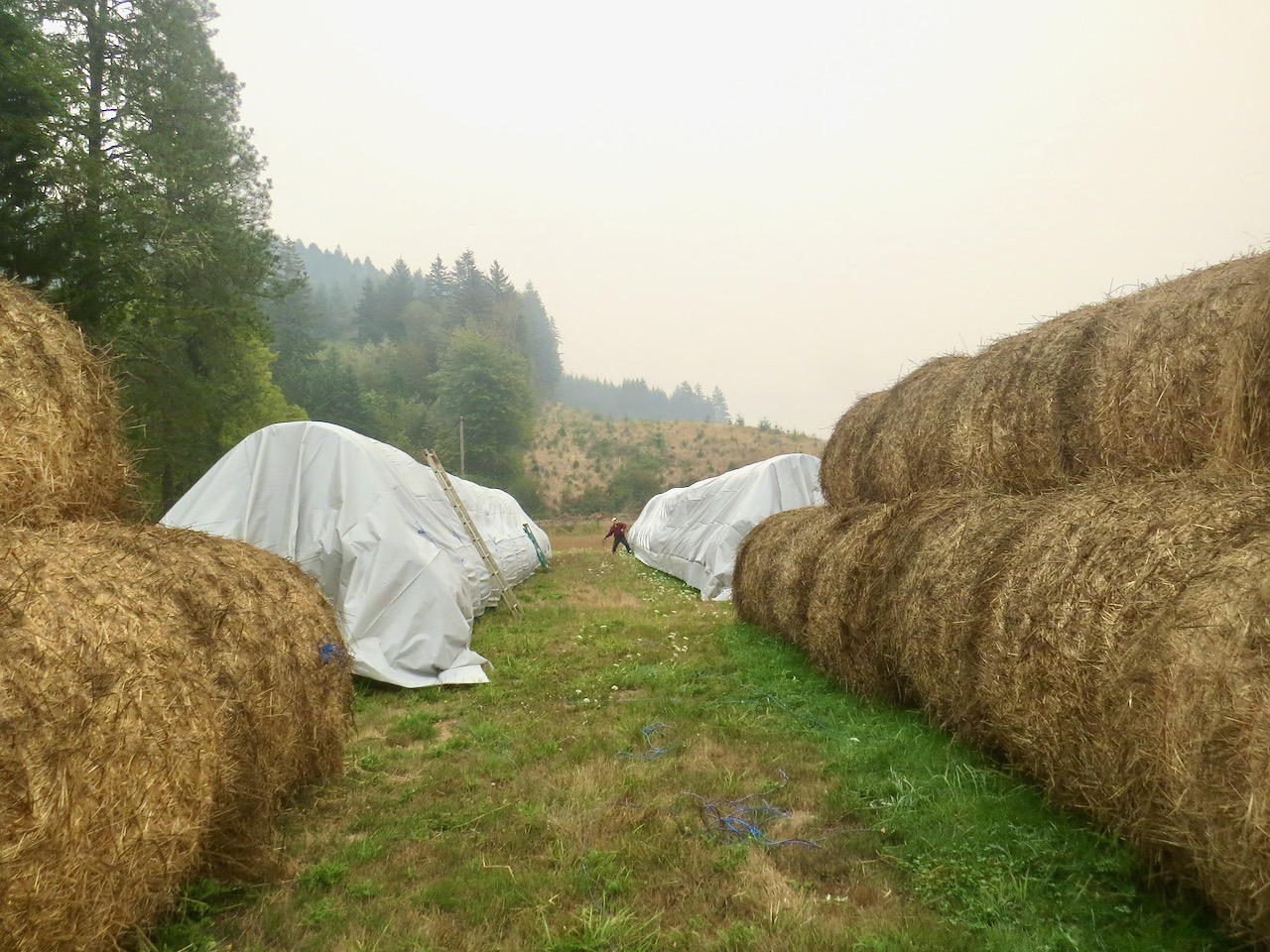 LuAnn Kessi: Hand Piecing and Covering Hay Bales...