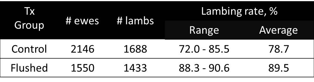 Shepherd's Notebook: Flushing range ewes