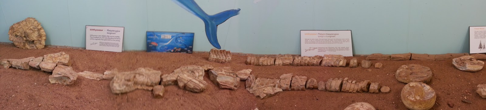 Family Tree Blossoms: F is for Fossils AtoZChallenge 2016