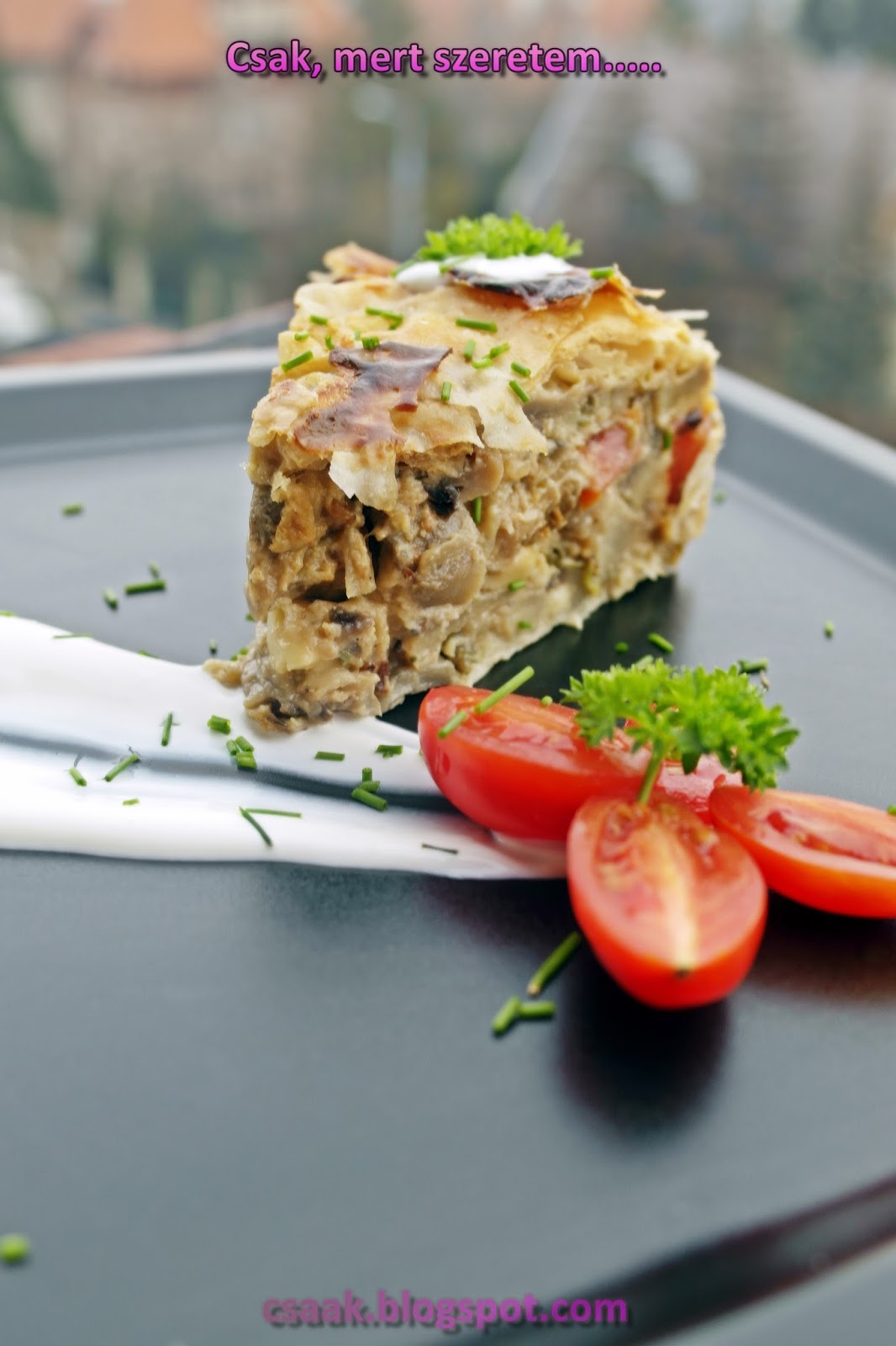 Csak, mert szeretem... kreatív gasztroblog: GOMBA FANATIKUS PITE ...