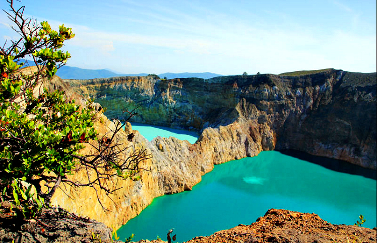 THE AMAZING INDONESIAN