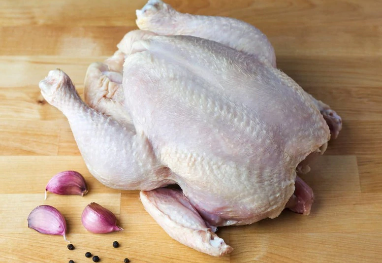 mengenal ayam potong Broiler - Elinotes - Review By Eli Setiawan