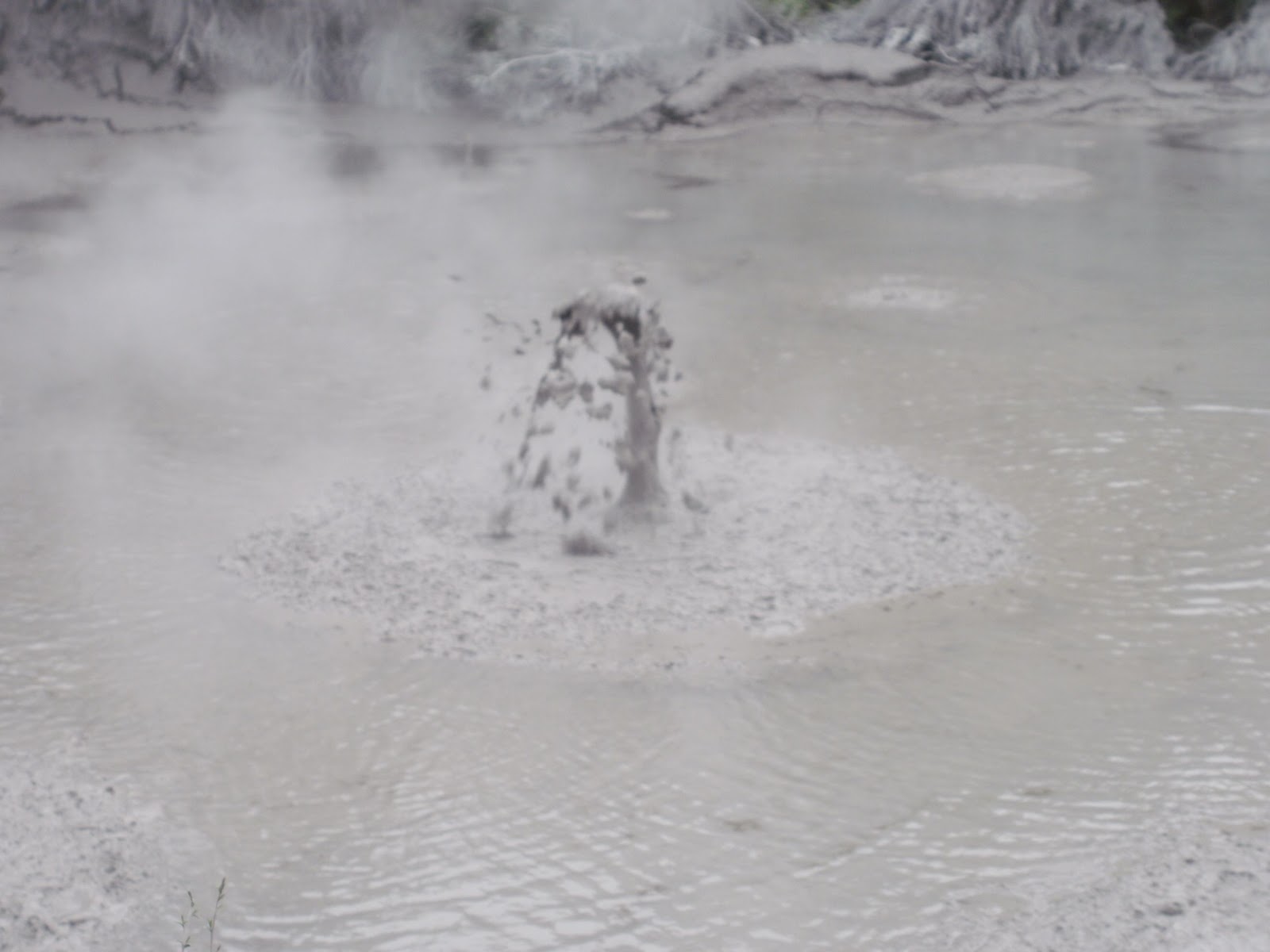 No direction home ... a complete unknown ... like a rolling luggager ...