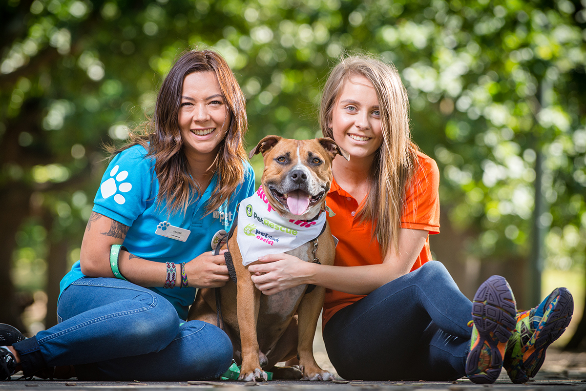 PETstock Pet Adoption Day 2018 - February 4 | Australian Dog Lover