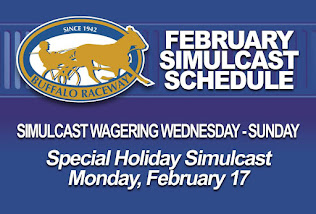 Brian's Buffalo Raceway Selections