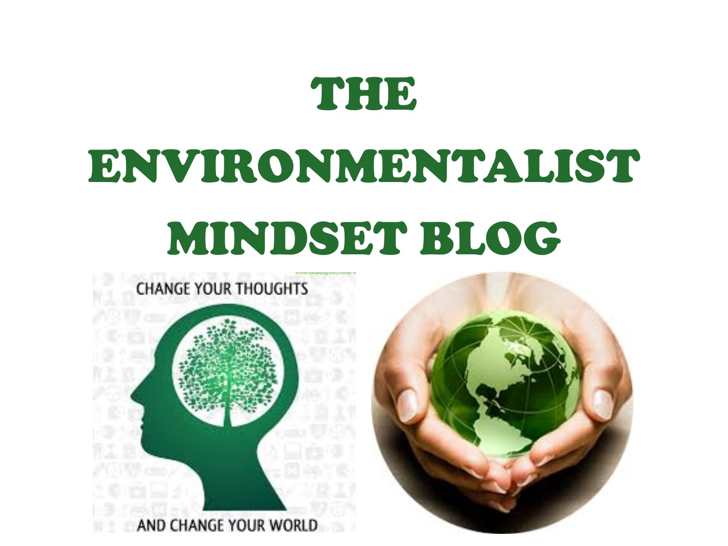 The Environmentalist Mindset