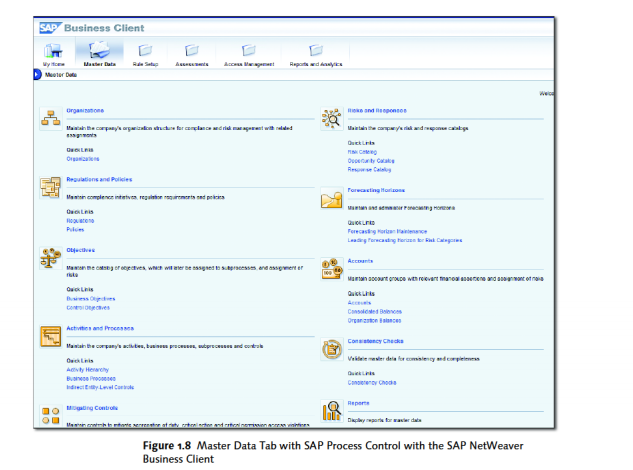 SAP GRC: SAP process control