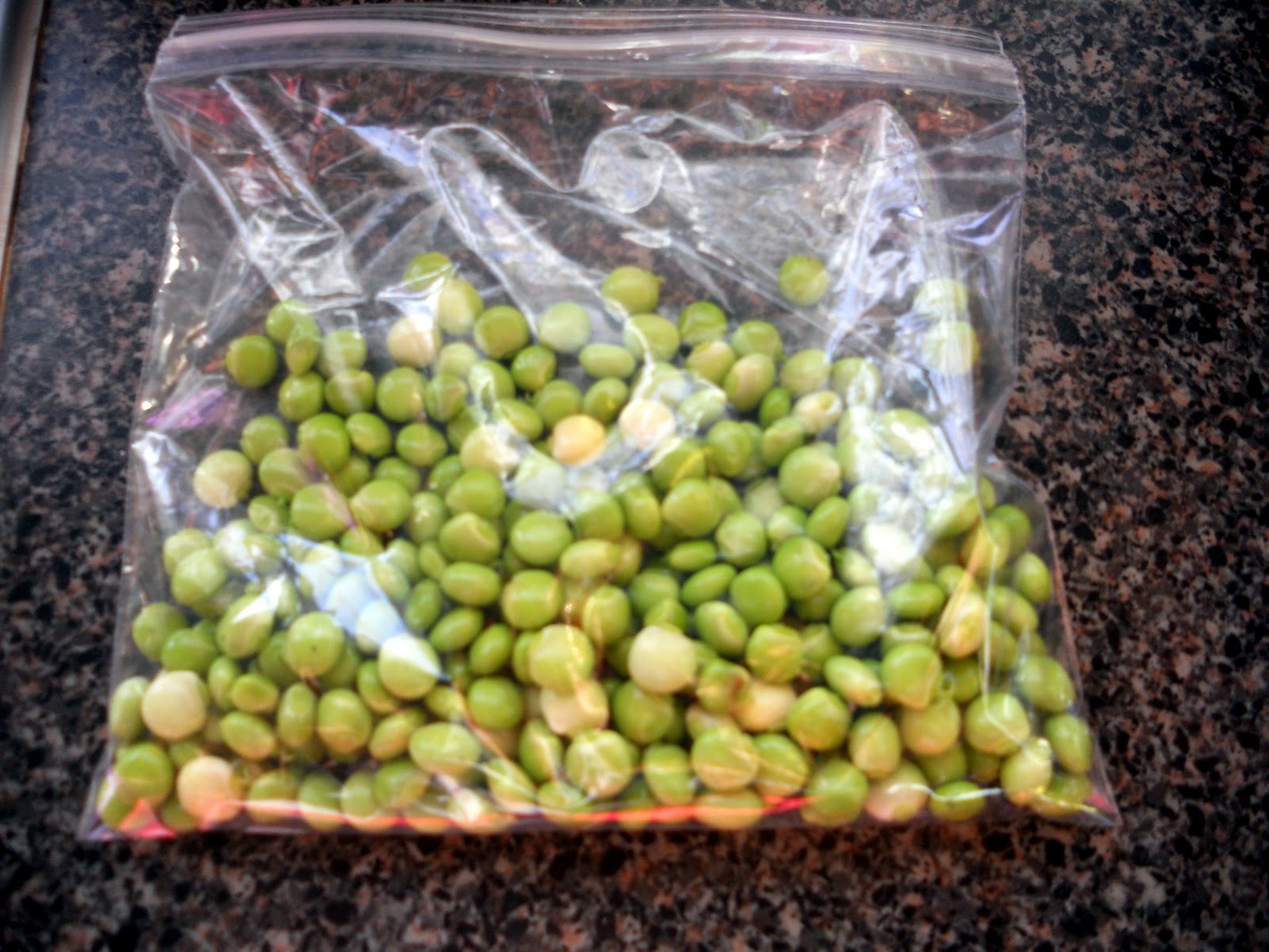 Everything Muse: gandules, gandules, gandules!!!!