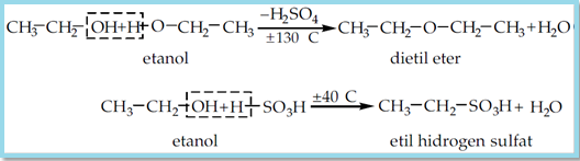 Sifat-sifat Senyawa Alkohol