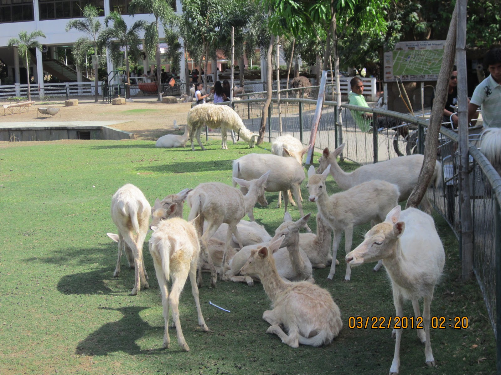 People, Places, Food, Travel and Lifestyle....: Places: Baluarte ni ...