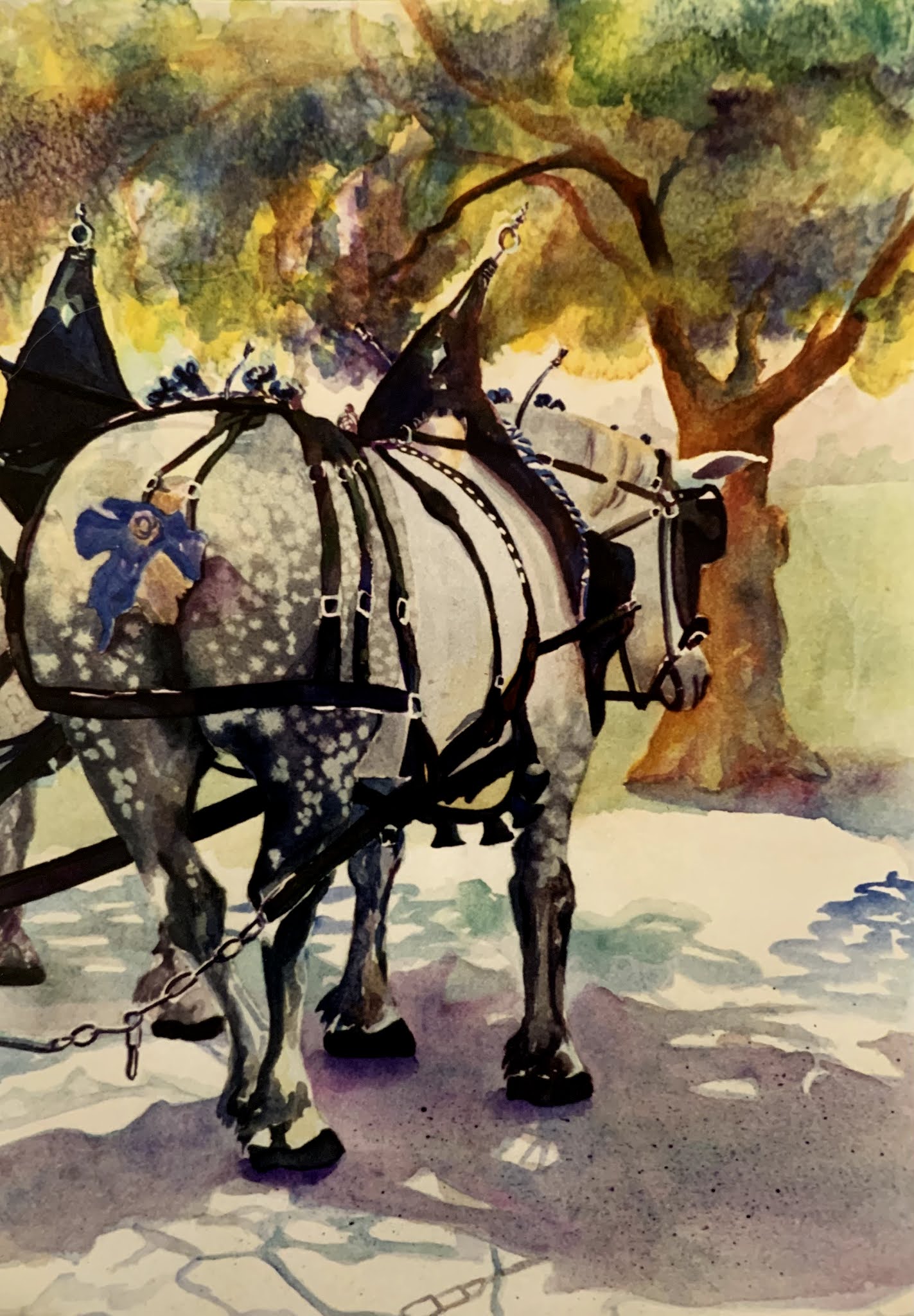 Debi Crow-Sousa Art: Watercolors