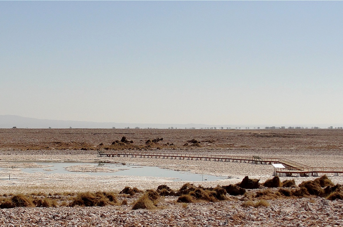 Caminantes del Desierto: EL SALAR DE LLAMARA