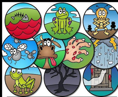 EL MUNDO MEJOR DE MABEL: LAS PLAGAS BÍBLICAS...