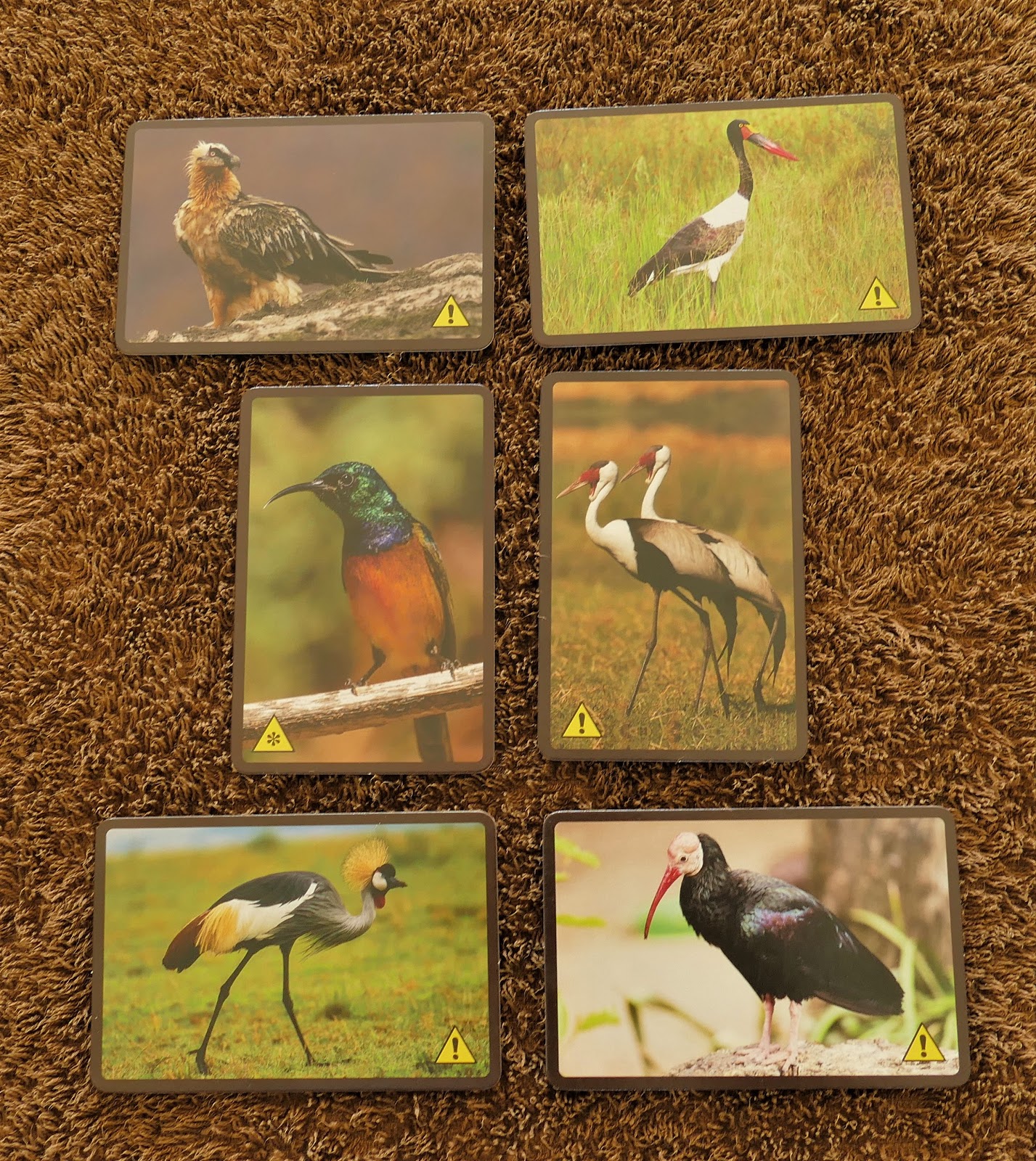 Southern Africa's Ramsar Sites: Bird Safari Board Game