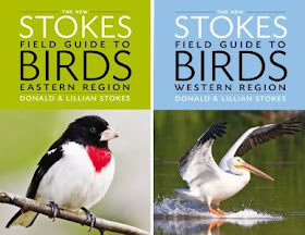 STOKES BIRDING BLOG