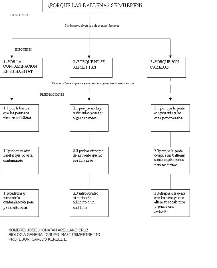 biologia general: MAPA CONCEPTUAL DEL METODO HIPOTETICO-DEDUCTIVO