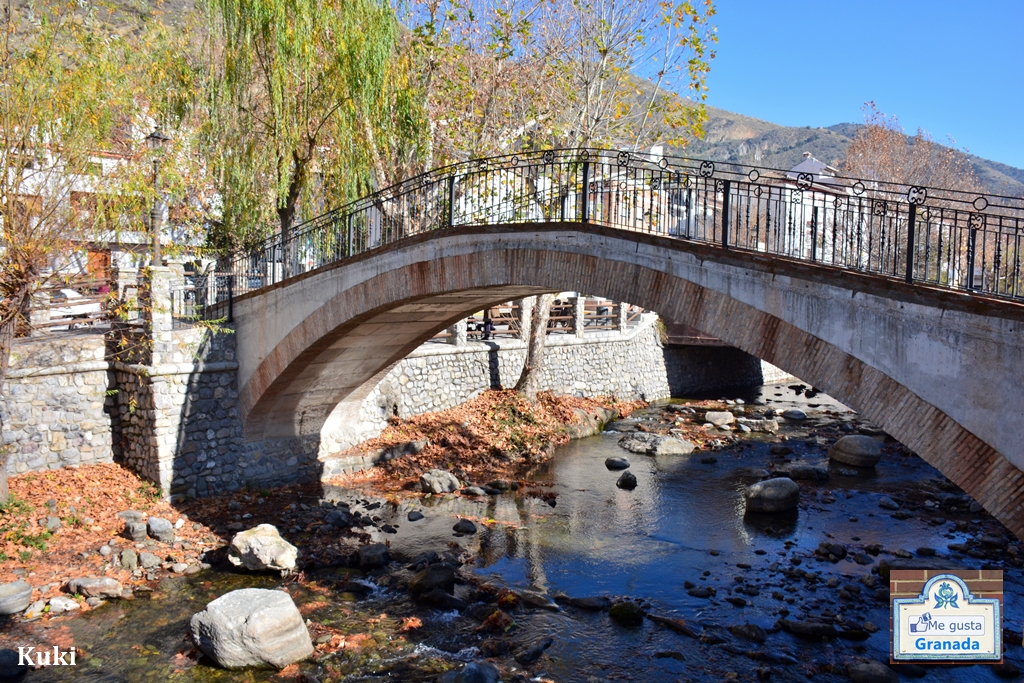 Que ver en Granada: Pinos Genil