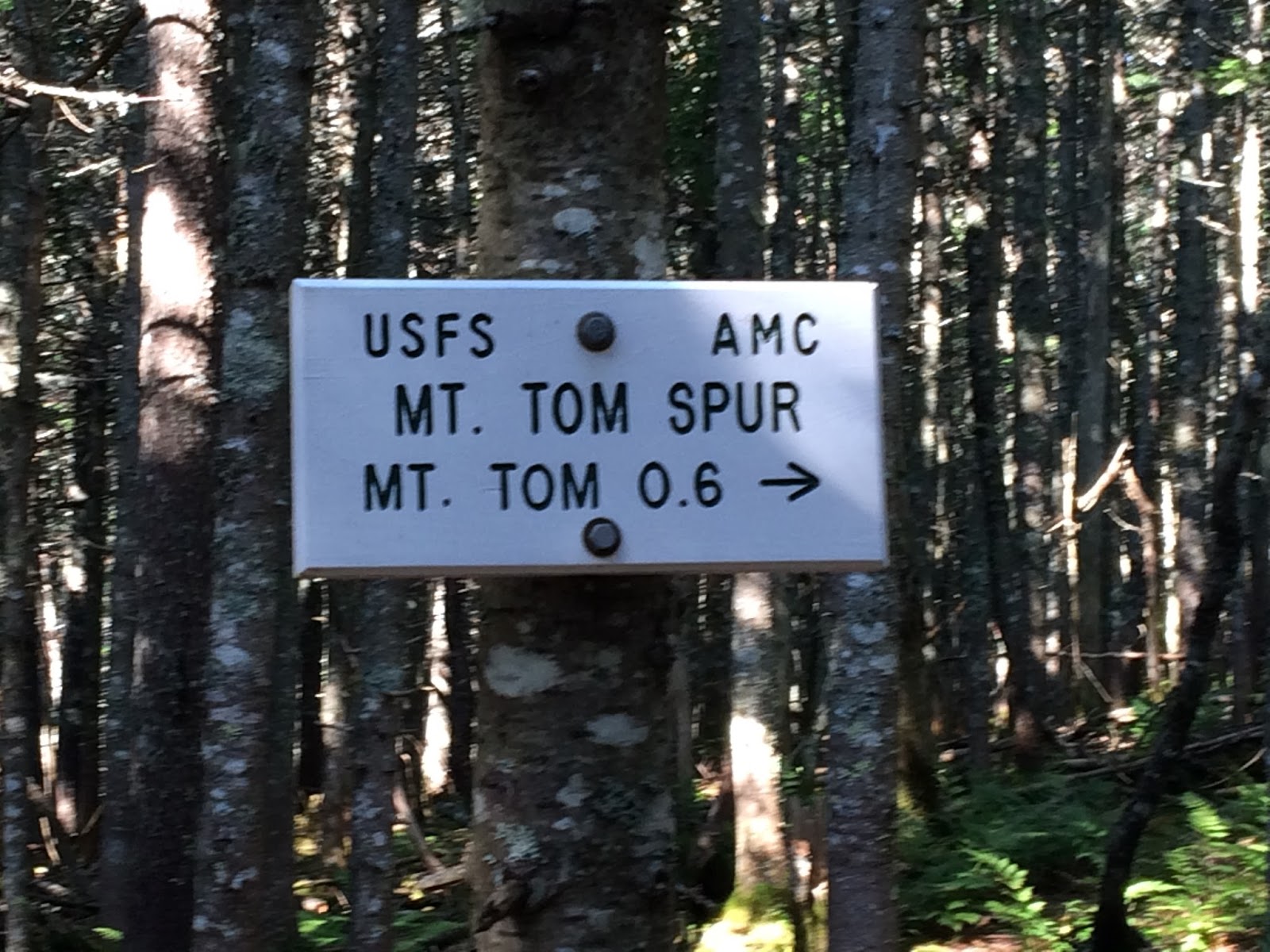 An Early Morning Walk: Mts Tom, Field, and Willey, 4-6/48