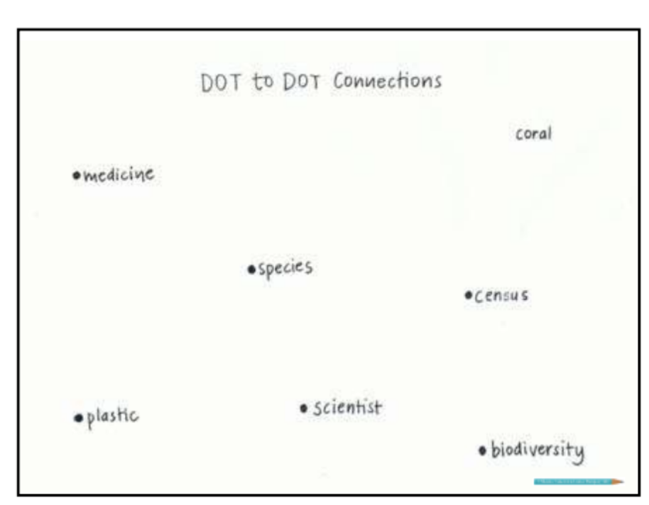 Angela - A Learning Journey: Sheena Cameron: Reading Comprehension ...