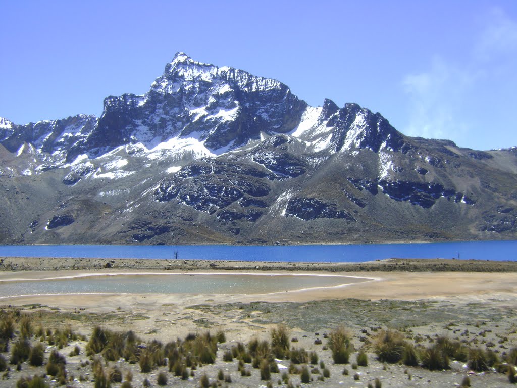 MI PRECIOSA MOROCOCHA