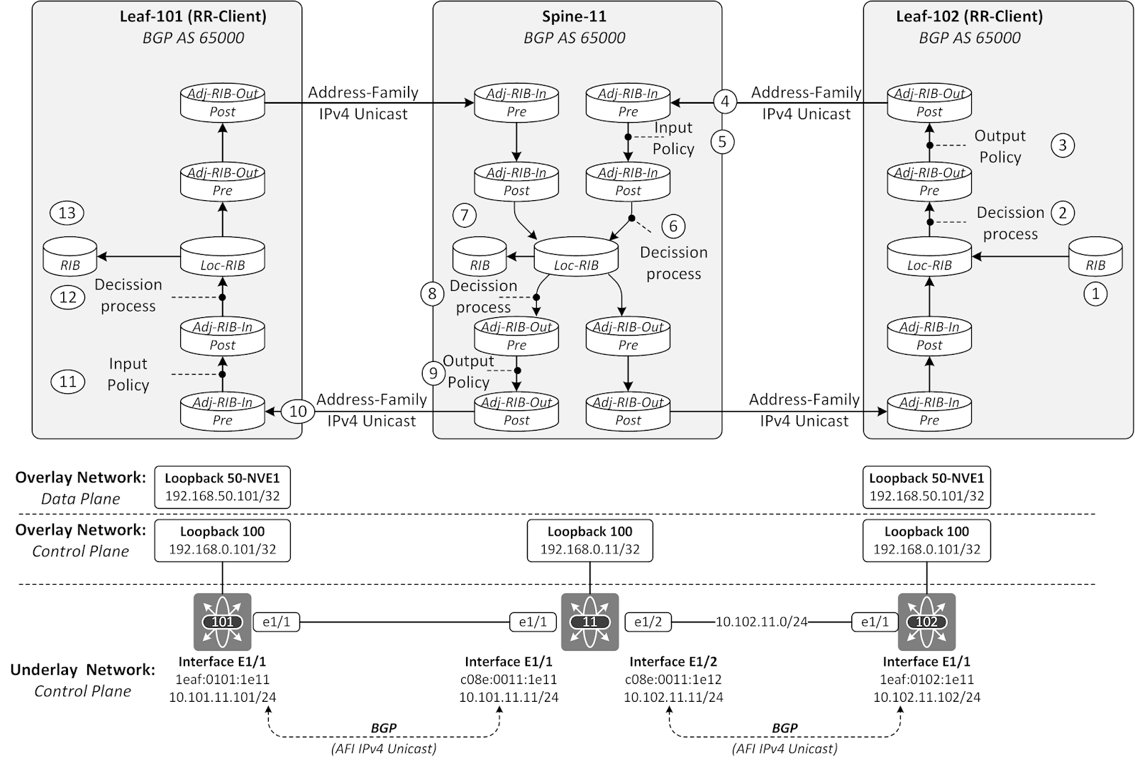 The Network Times: VXLAN Underlay Routing - Part III: Internal BGP
