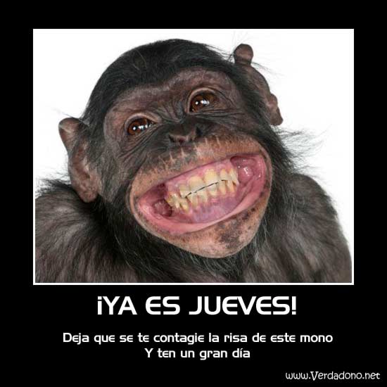 EL BLOG DE MARY REC: LA FRASE DEL DIA Y OTRAS COSAS DEL 11/07/2013, por ...