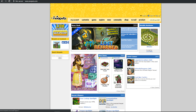 Trading Card Game Collector: I own the rarest neopets cards in the world