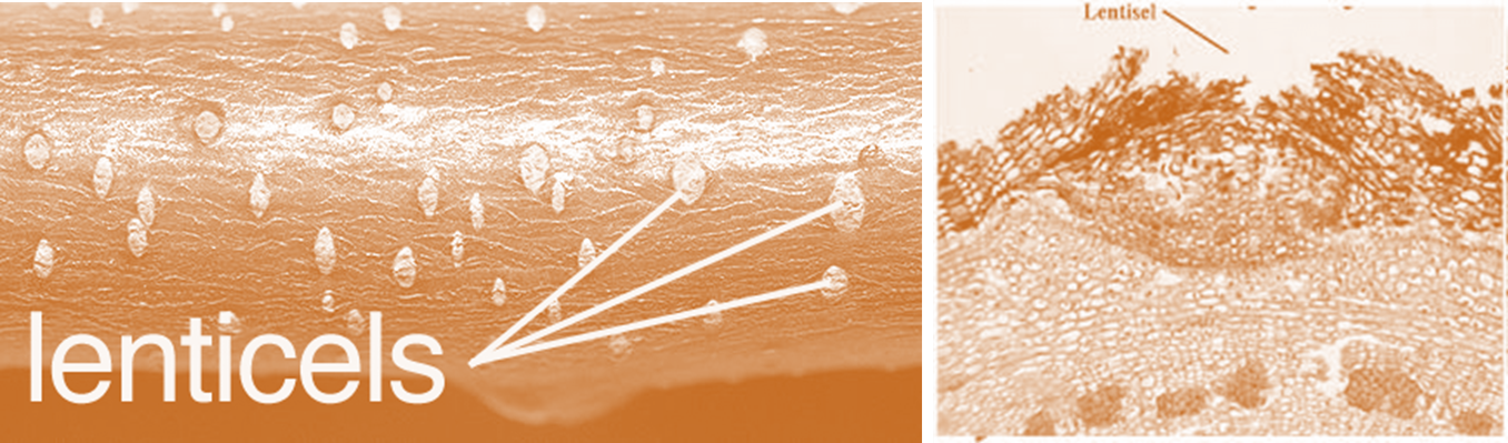 Pendidikan Dan Pembelajaran: September 2018